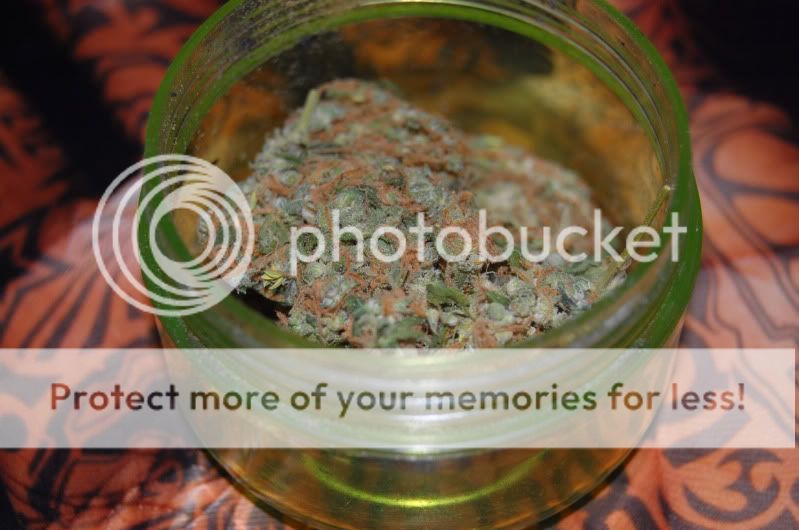 Super funk | Grasscity Forums - The #1 Marijuana Community Online