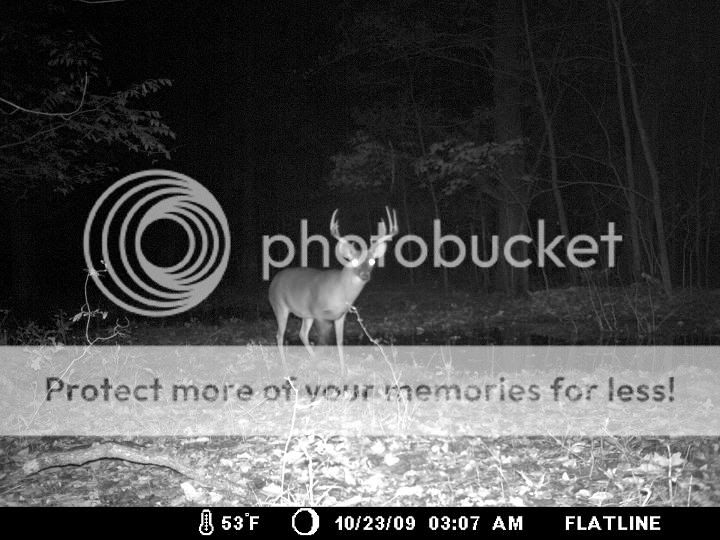 1st ever (what will he score) - TexasBowhunter.com Community Discussion ...