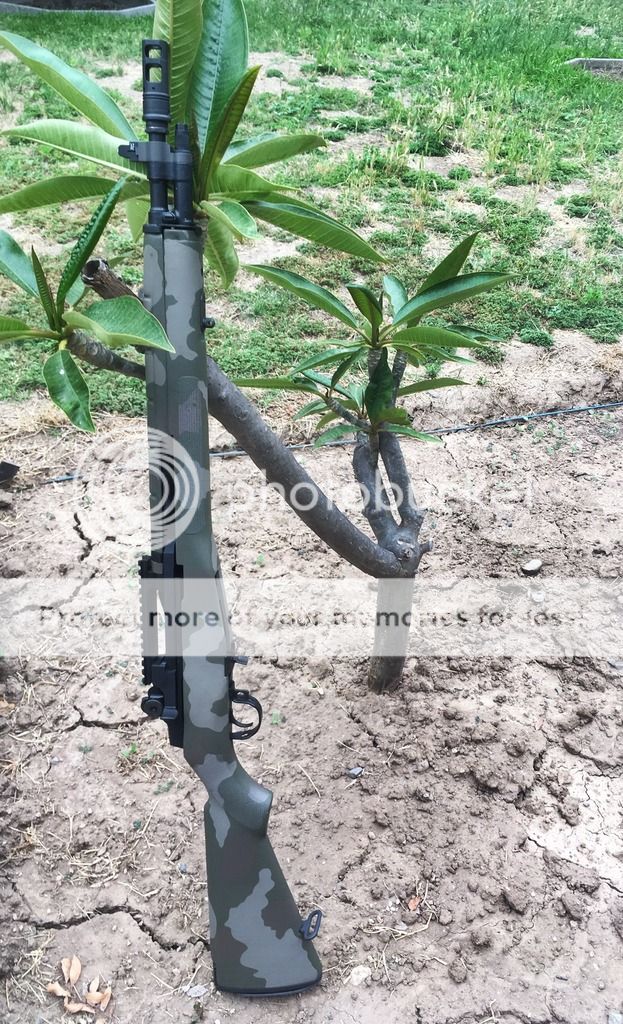 PFC Thomas - LRB M25 Build Done! | M14 Forum