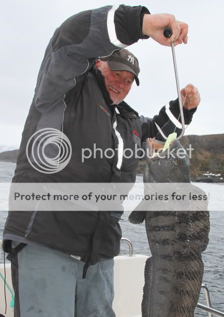 Loppa Report | World Sea Fishing Forums