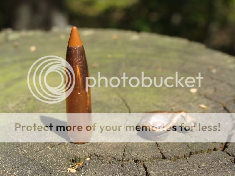 Let's See Those Recovered Bullets - 24hourcampfire