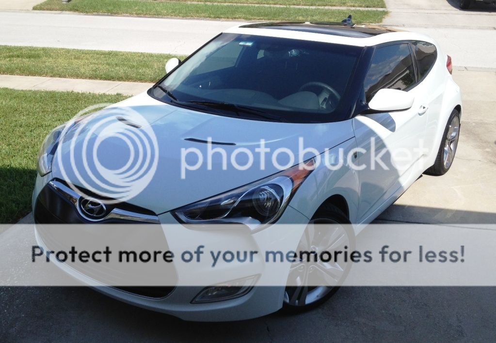 Vinyl wrapped front bumper and grill - Wrapbullys | Veloster Forum