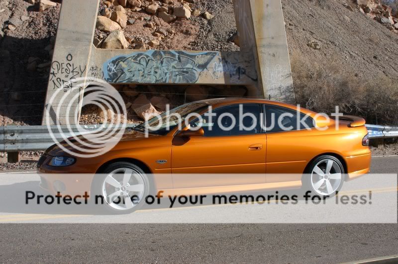 Pontiac GTO to be back in 2008 | VW Vortex - Volkswagen Forum