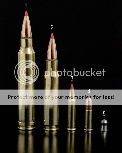 Comparison Photos: 7.62x39, 5.45x39, 5.56x45 > AK Discussions > AR15.COM