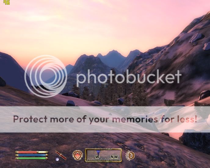 Oblivion - graphics are immense - pics | guru3D Forums